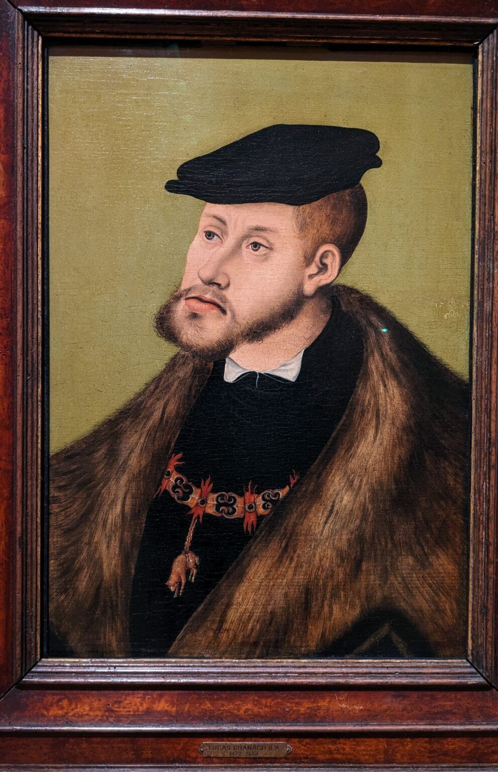 The Habsburg Jaw Explained: The Price of 200 Years of Royal Inbreeding ...