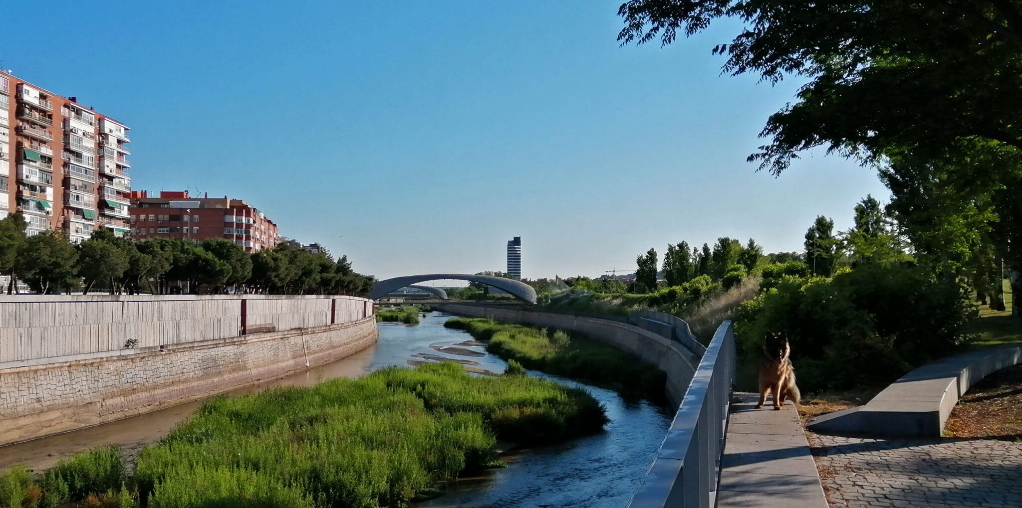 Madrid’s Hidden Gems: The Manzanares River, with Clare Starkie - The ...